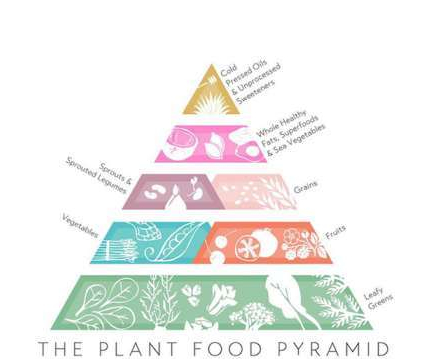 The Top Three Reasons Why You Should Switch to a Plant Based Diet | ABQ ...